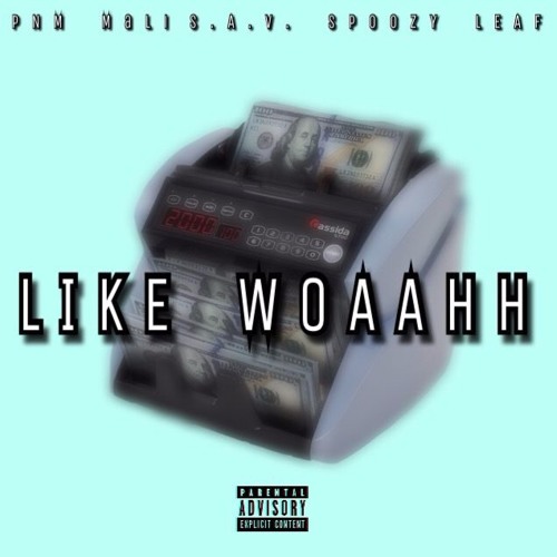 Stream LIKE WOAAHH MALI S.A.V X PNM X LEAFY X SPOOZY by STX3 | Listen ...