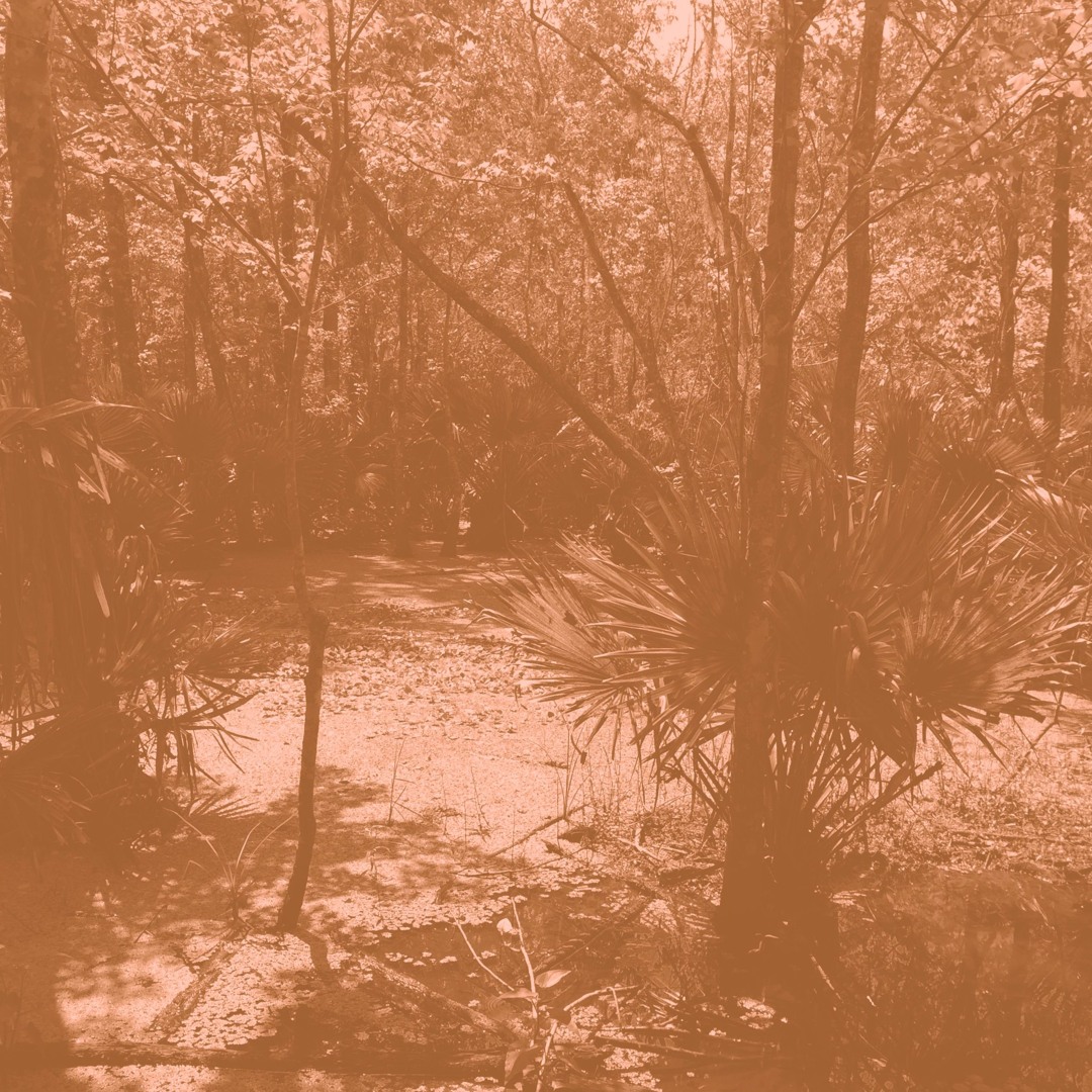 Stream 8-Bit Chants by Temples of the Holy Ghost | Listen online for ...