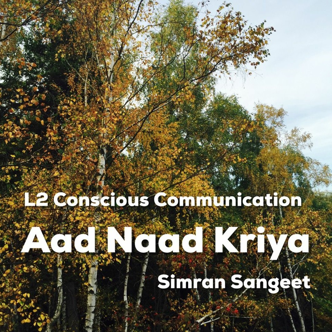 Stream Aad Naad Kriya by SimranSangeet | Listen online for free on ...