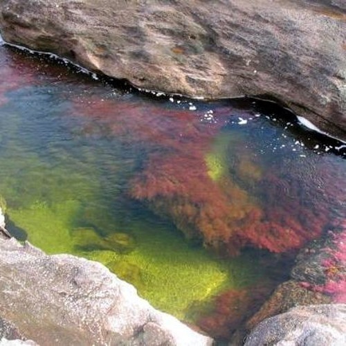 Stream episode Ubikvitetna Eritrofobia - Borska Reka by lepotanski ...