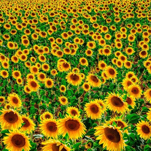 Stream Holy Spirit, Thou Are Welcome In This Place by Mark Pemble ...