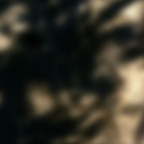 Stream Contemplation - Cara Tivey Trio by C Tivey | Listen online for ...