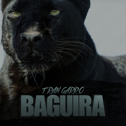 Stream Fran Garro - Baguira (Original Mix) by FRAN GARRO | Listen ...