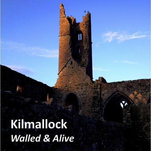 Stream S3 - Ep4 Portrait: Kilmallock - Early Afternoon by Grey Heron ...