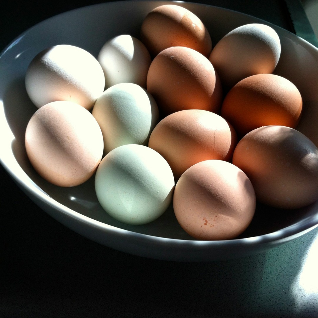 Stream Dr. Tanda Cook Presents Arbonne 30 Days by drtandacook | Listen ...