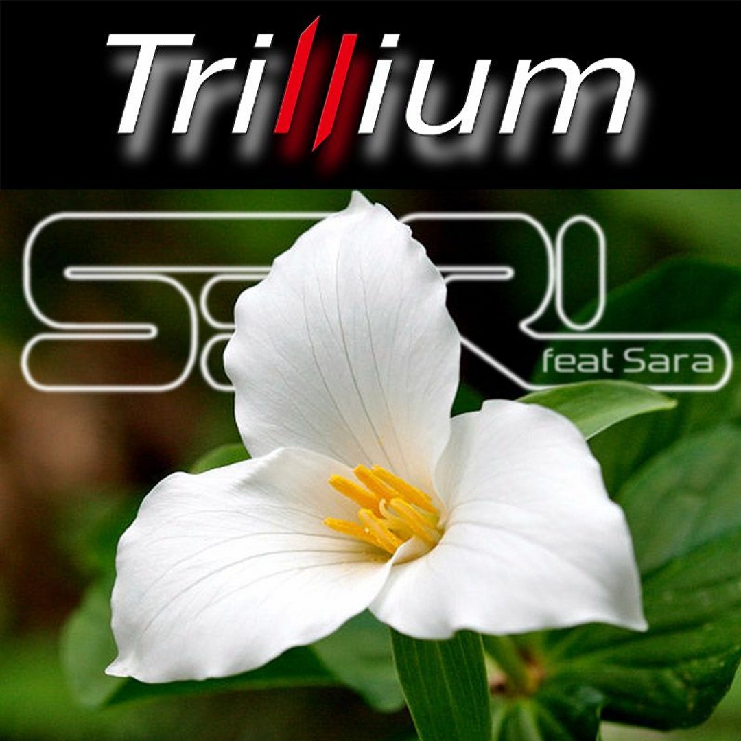 Stream Trillium - S3RL Feat Sara by S3RL | Listen online for free on ...