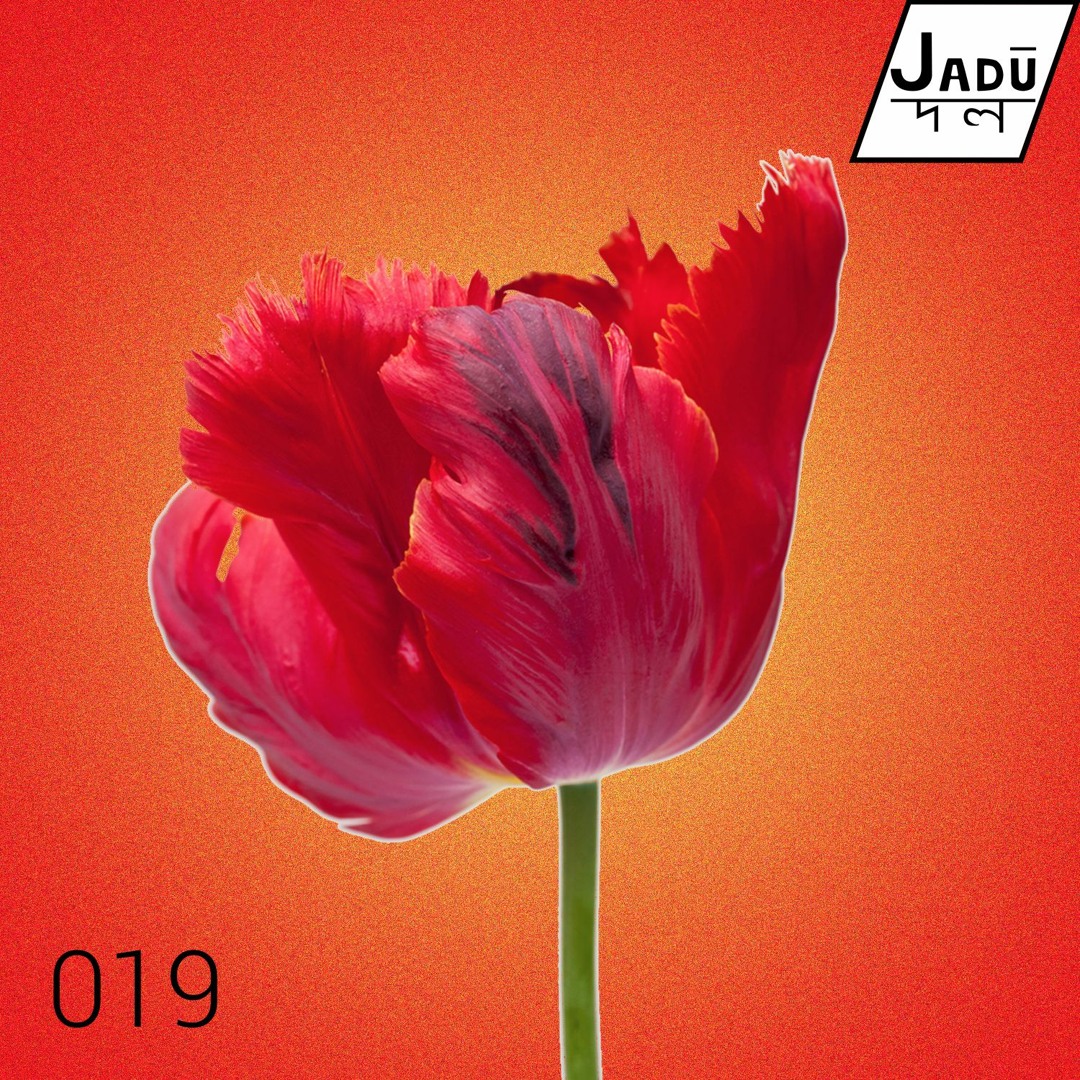 Stream Canon Danzer - Wunkus (JADŪ019) by Jadū Dala | Listen online for ...
