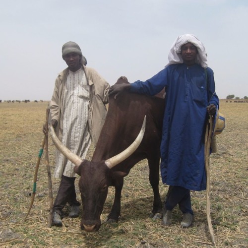 Stream episode S1E2b - Conversation With Dr. Mark Moritz and Erin Kane ...