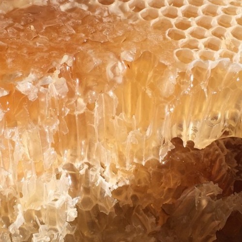 Stream Gravity by Mina Bast by Mina Bast Poetry | Listen online for ...