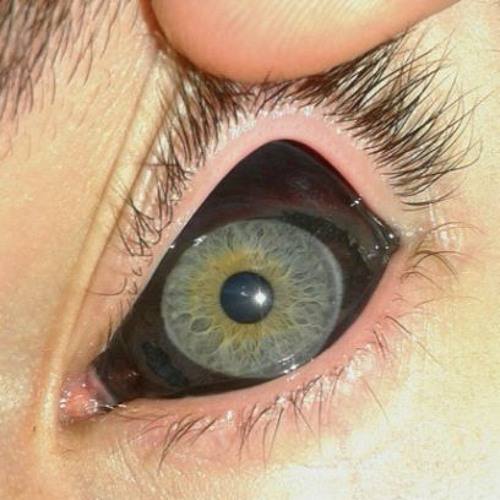 Stream Kurobe by sendai miller | Listen online for free on SoundCloud