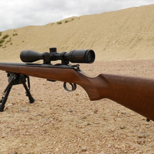 Stream Generic .22 Hunting Rifle Sounds by Partisan | Listen online for ...