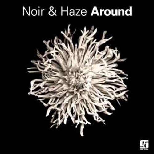 Stream NOIR & HAZE - Around (Dj Nobody Revisited Edit) by DJ NOBODY ...