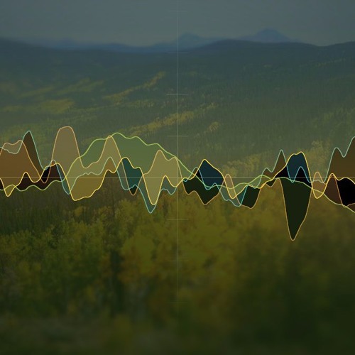 Stream Golden Tree Tops [Remastered] by You Know I Know | Listen online ...