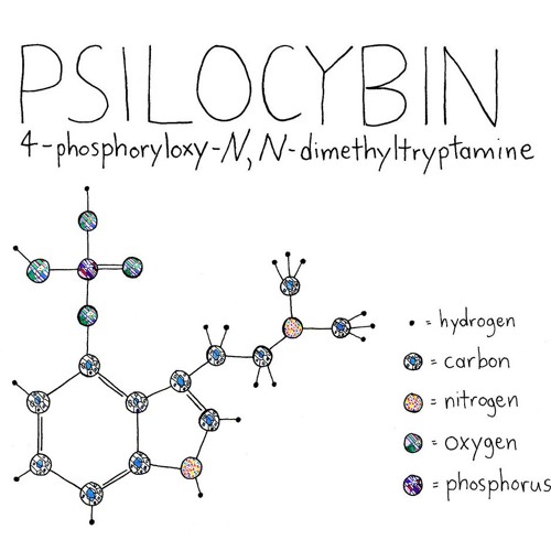 Stream Calling All Clergy for the Psilocybin & Religious Leaders Study ...