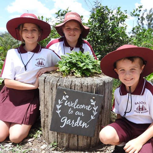 Stream episode Bajool State School garden goes beyond the gates by Inga ...