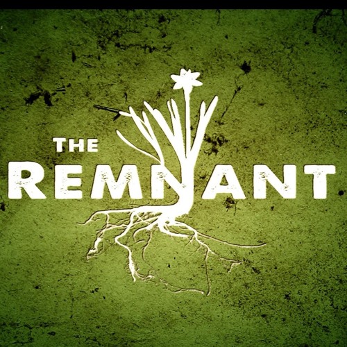 Stream The Remnant by Dan Fefferman | Listen online for free on SoundCloud