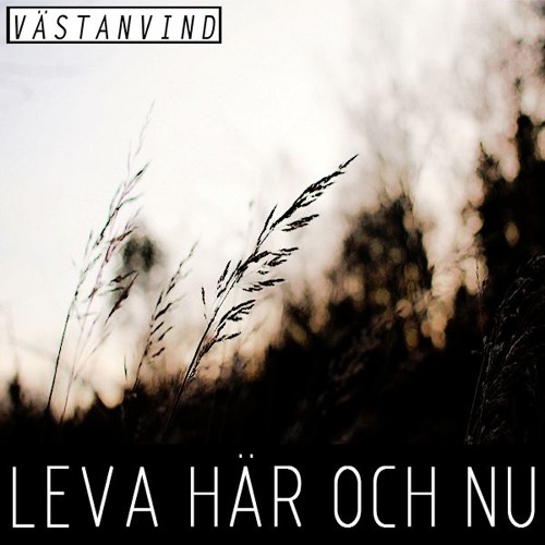 Stream Leva Här Och Nu FT. Daniella Ring och JONFRED (REMIX) by ...