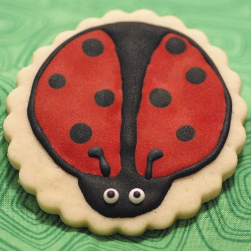 Stream Magic Mountain - Ladybug (demo) by Powerbunny 4x4 | Listen ...