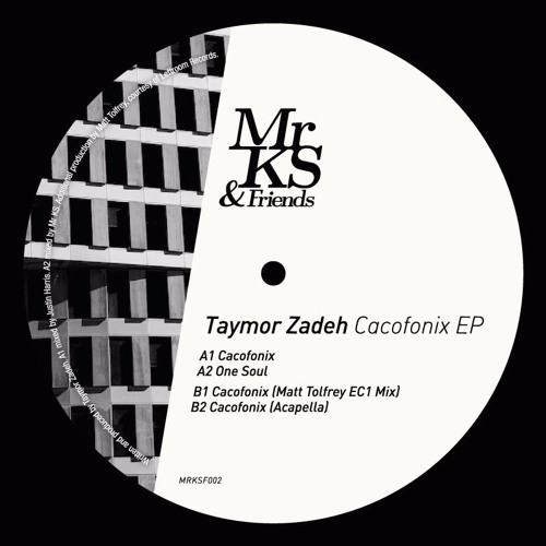 Stream A2 - Taymor Zadeh - One Soul by Rhythm Travels™ | Listen online ...