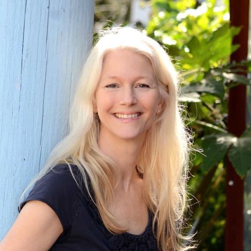 Stream episode Award-winning Author Nina Schuyler Talks about Her Book "The Translator" by ...