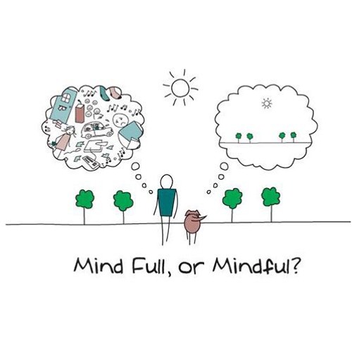 Stream Dr Benjamin Veness on Mindfulness by Sydney Ideas | Listen ...