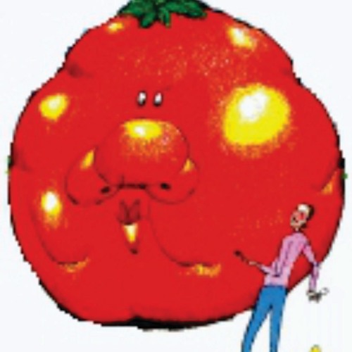 Stream 01 One Ton Tomato by Wayne from Maine | Listen online for free ...