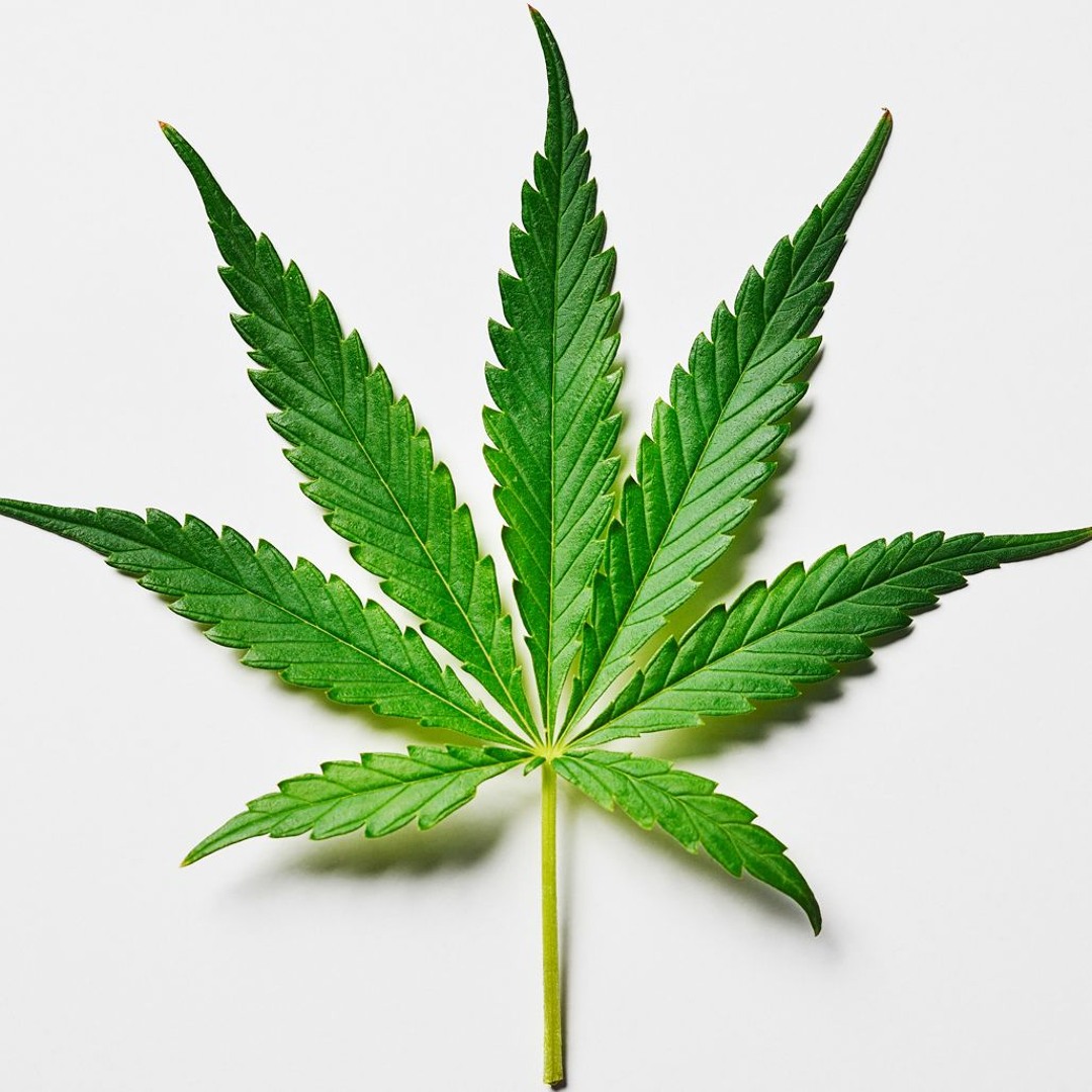 Stream BROCCOLI [EAR RAPE] by The Ear Rape Factory | Listen online for ...