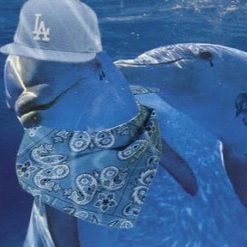 Stream Rob $tone - Chill Bill W/ Shamana ♒ Dolphin Splash It When I ...