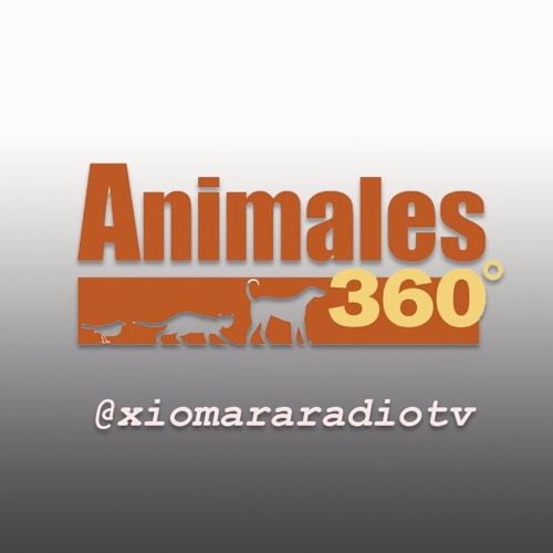 Stream Como Lidiar Con La Muerte De Una Mascota - Psicóloga Ana Richter ...