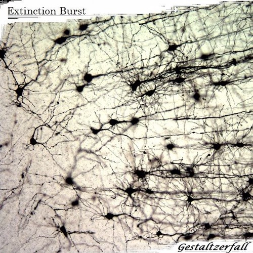 Stream Castle Vanity by Extinction Burst | Listen online for free on ...