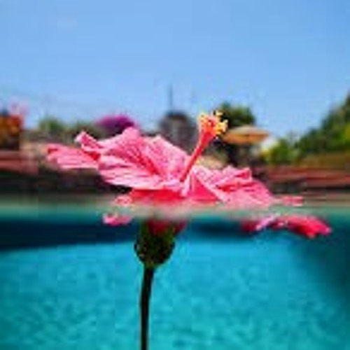 Stream Bonriki International Airport T MAQUAK REMIX - Kiribati@tm...mp3 ...