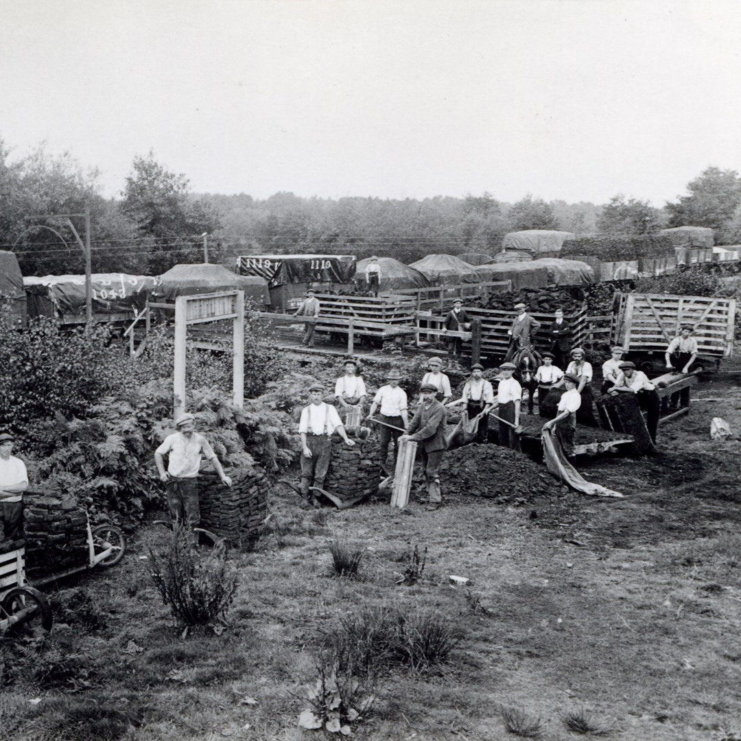 Stream Avalon Marshes | Listen to Meare Heath train crash 1949 playlist ...