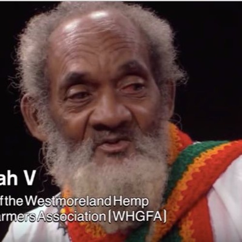 Stream Ras Iyah V - Rastafari at Harvard Law School - Hypocritical by ...