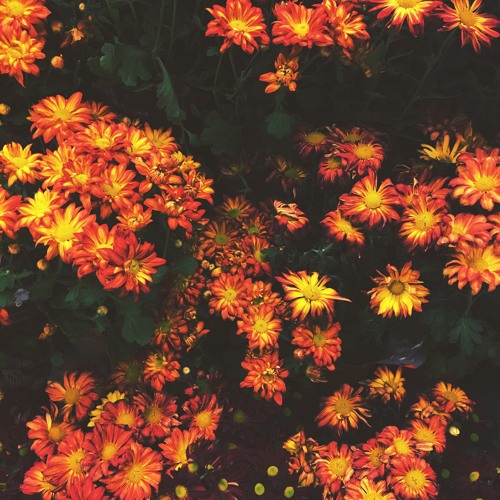 Stream Lua-Bright Eyes (Cover) by Dreamangst🌸 | Listen online for free ... Stream Lua-Bright Eyes (Cover) by Dreamangst🌸 | Listen online for free ...