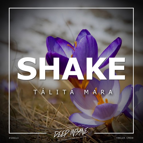 Stream Tálita Mara - Shake (Original Mix) [OUT NOW BEATPORT] by Deep ...