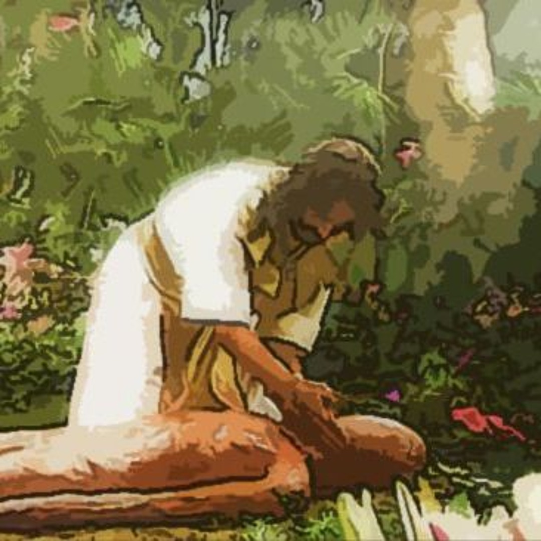 Stream Explain Genesis 1:26 regarding God making man in our image. by ...
