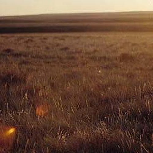 Stream Promises by Glenn Sutter | Listen online for free on SoundCloud