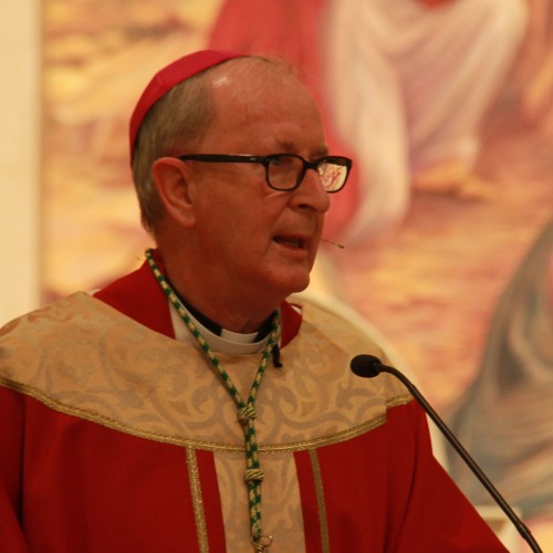 Stream Bishop John Noonan's Homily at Red Mass by Faith Fit | Listen ...