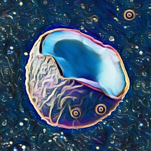 Stream funny prank too | Listen to The Rise And Fall Of Cringe Coconut ...