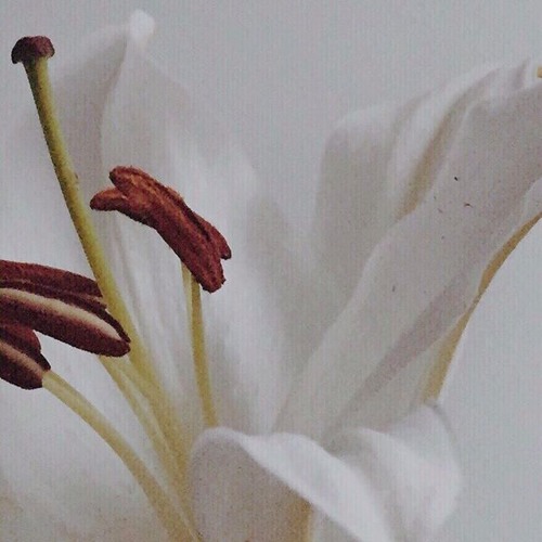 Stream Shmari | Listen to Aesthetic playlist online for free on SoundCloud