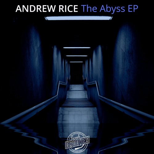 Stream Andrew Rice - The Abyss (Original Mix) [Pineapple Grooves] by ...