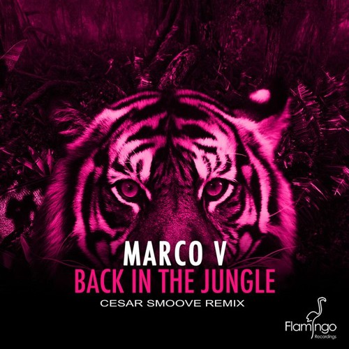 Stream Marco V - BACK IN THE JUNGLE (Cesar Smoove Remix) by Dj Cesar ...
