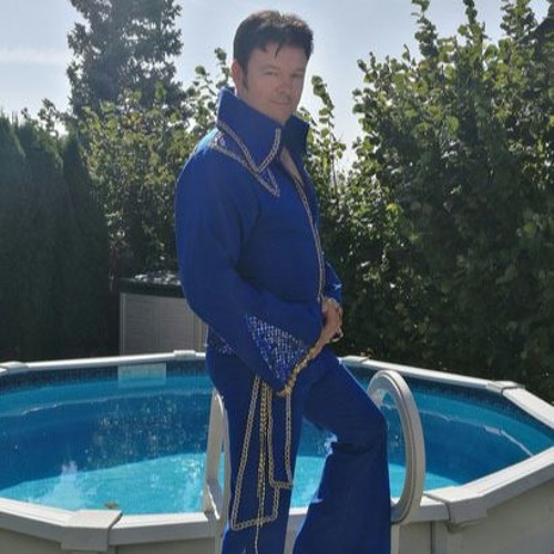 Stream Melvis | Listen to Melvis Songs 1 playlist online for free on ...