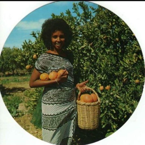 Stream Balwo By Bashir Sh. Omar Goth, 1982 by Qalbidiirshe | Listen ...