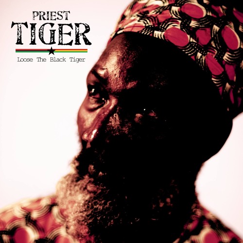 Stream Final Call by Priest Tiger | Listen online for free on SoundCloud