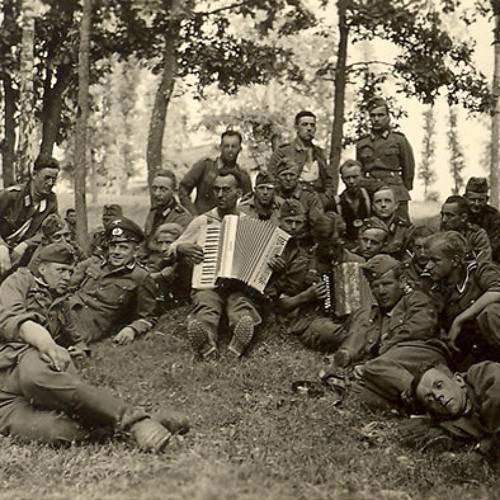 Stream Anonymoose - Accordions Wanna War by Naughty Sort Records ...