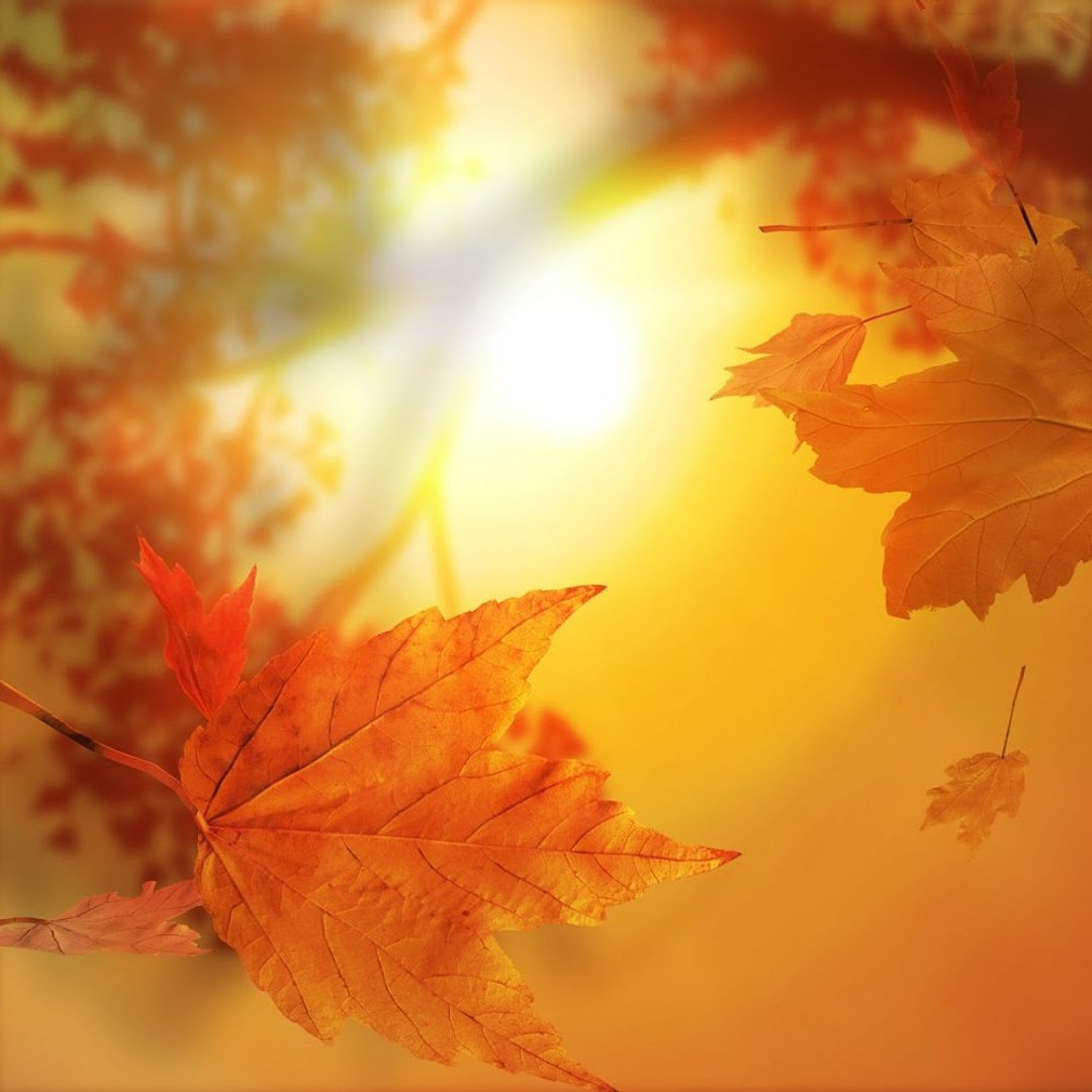 Stream FuLA - ნოემბერი/Noemberi (2016) by Fula Calypse | Listen online ...