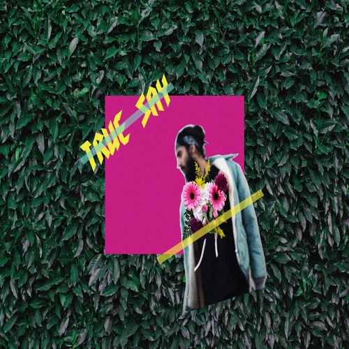 Stream hubbo | Listen to TRUE SAY playlist online for free on SoundCloud