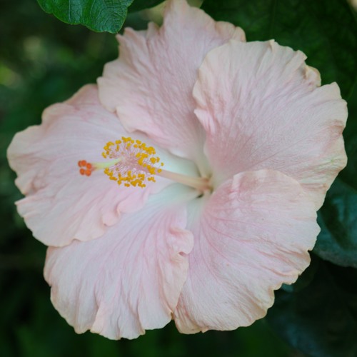 Stream 내가 니편이 되어줄께/I'll be on your side - Tim Yun (COVER) by timyunn ...