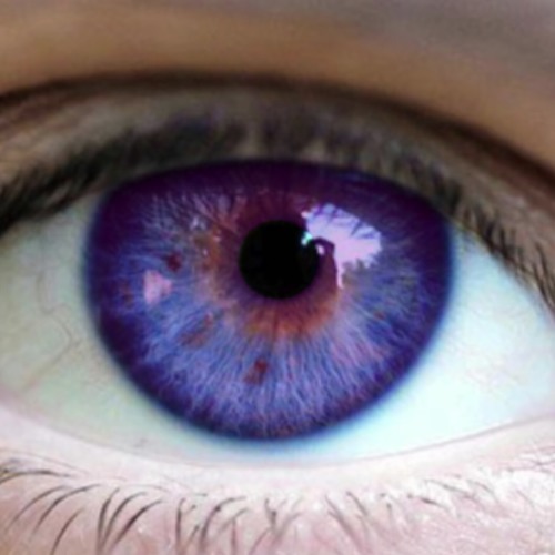 violet blue eyes Hi Tech Services